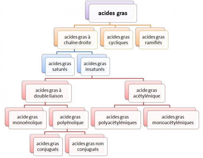 Lipides; Classification, Acides Gras, Graisses et Huiles