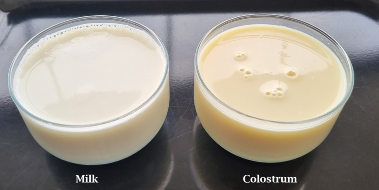 Colostrum; Composition, Characteristics and Health Benefits